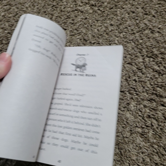 Scholastic | Other | 5 Ranger In Time Escape From The Twin Towers Dog ...